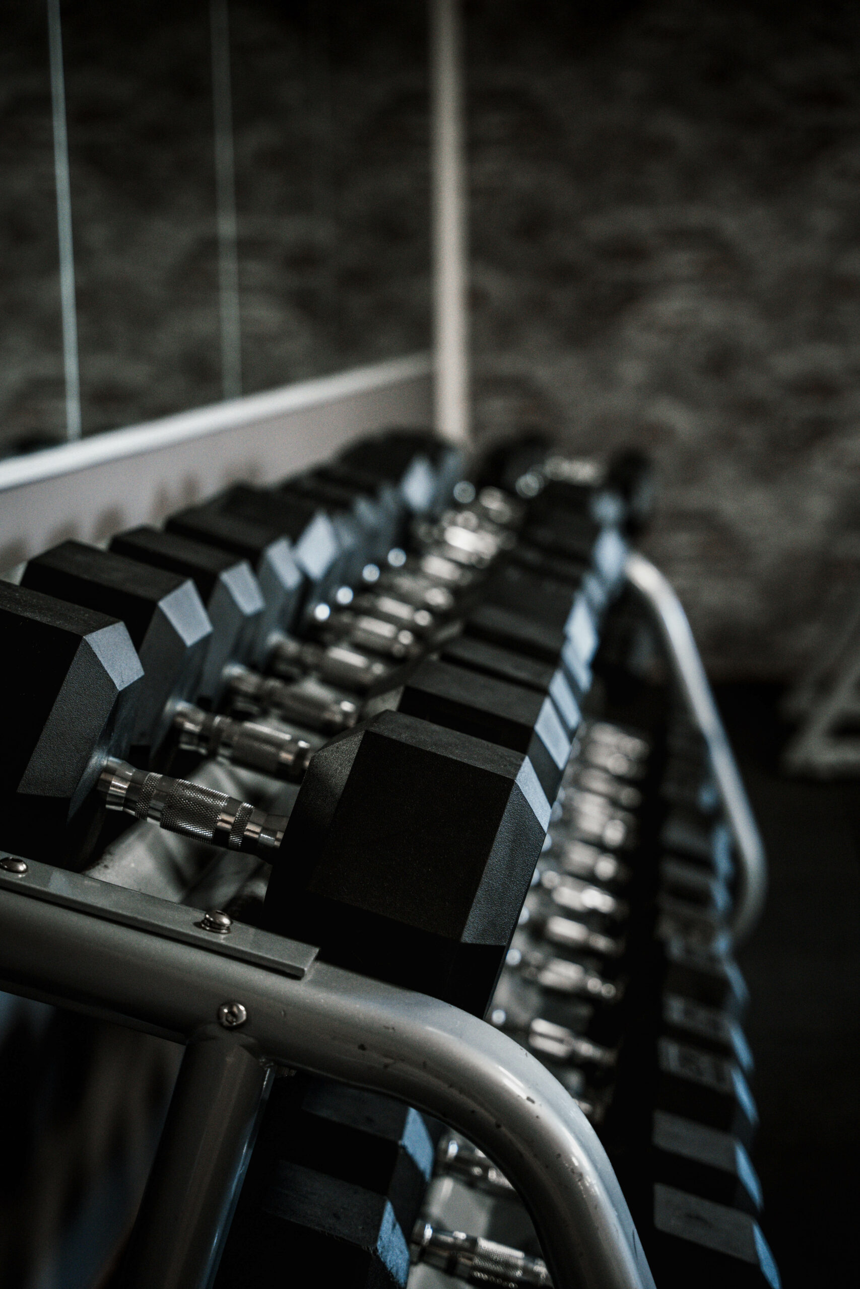 Freihantel-Bereich - activepoint-studio.de